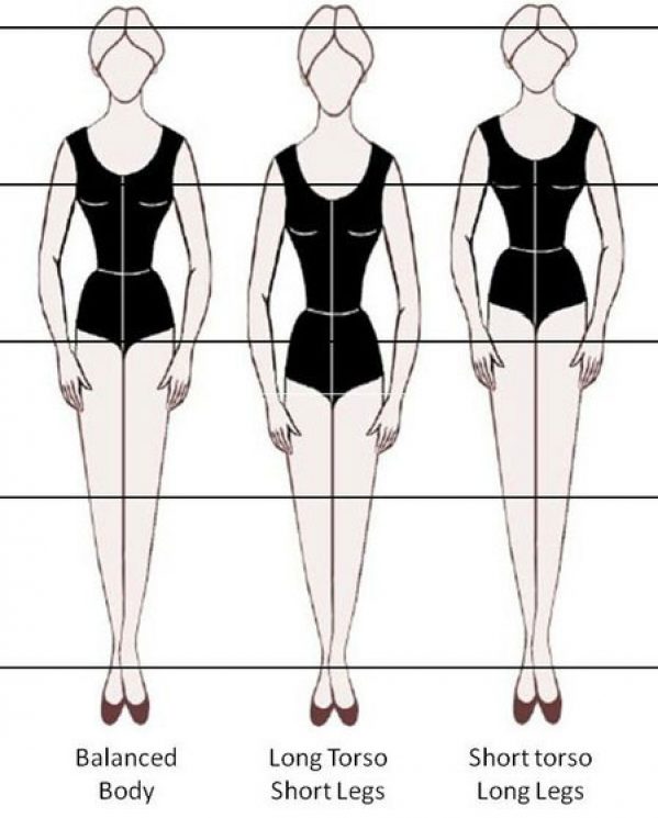Tall and Petite Body Types, Plus-Size, and Vertical Proportions | Types ...